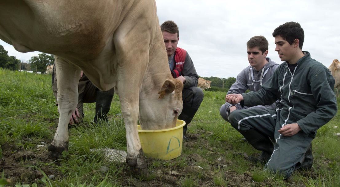 La transition agroécologique, une priorité pour l'enseignement agricole ... La transition agroécologique, une priorité pour l'enseignement agricole ...