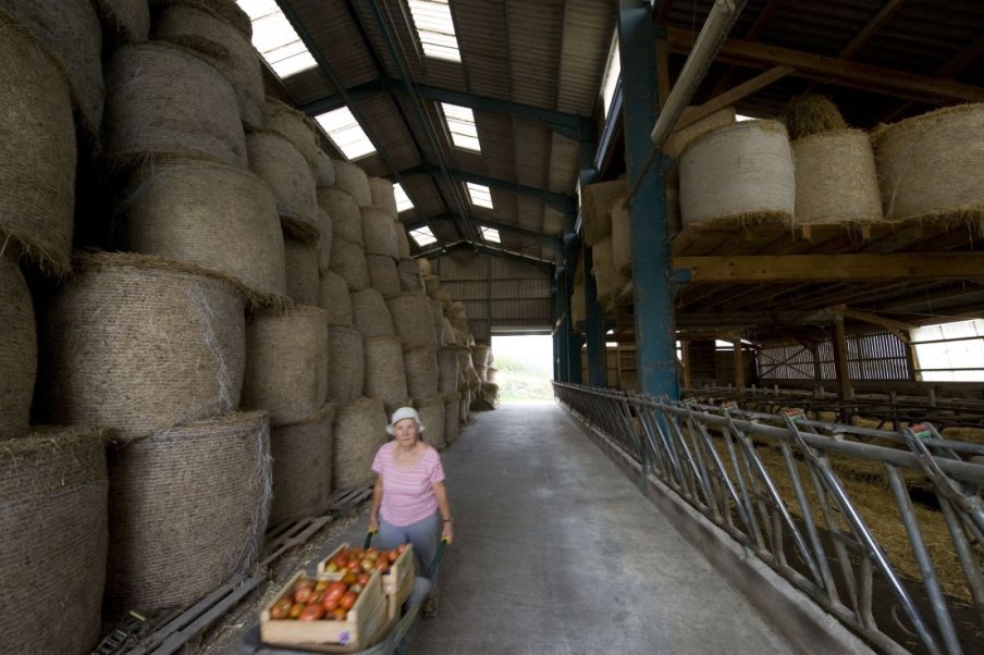 Financement des non-salariés agricoles | Ministère de l'Agriculture, de ... Financement des non-salariés agricoles | Ministère de l'Agriculture, de ...