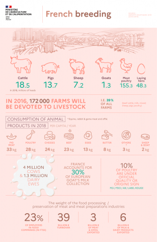 Infographics - French breeding | Ministère de l'Agriculture et de la ...
