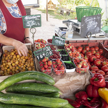 Production et commercialisation des « produits locaux » | Ministère de ...
