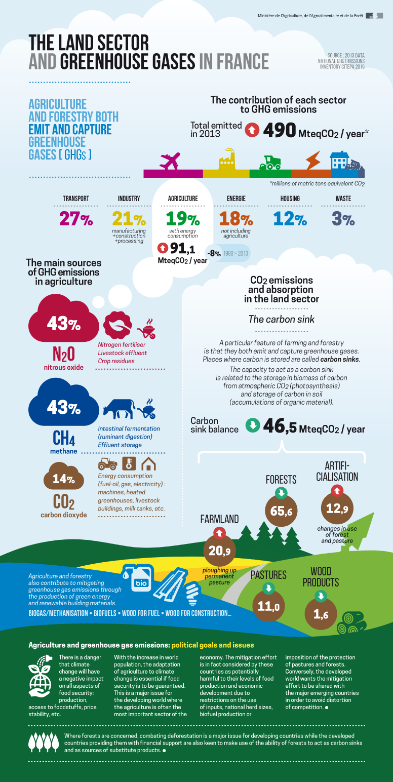 Infographics - The land sector and greenhouse gases in France ...