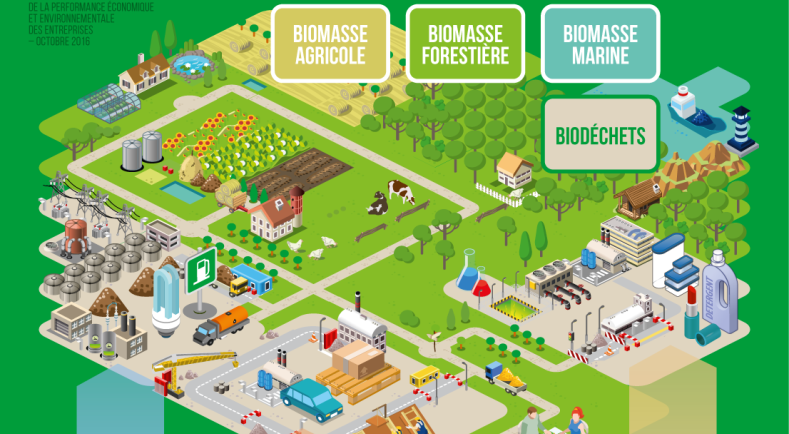 Infographie - La bioéconomie, une approche nouvelle pour des solutions ...