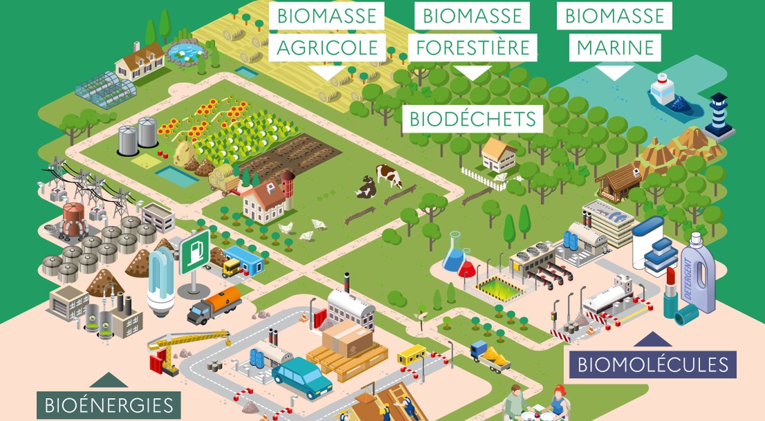 Infographie - La bioéconomie, une approche nouvelle pour des solutions ...